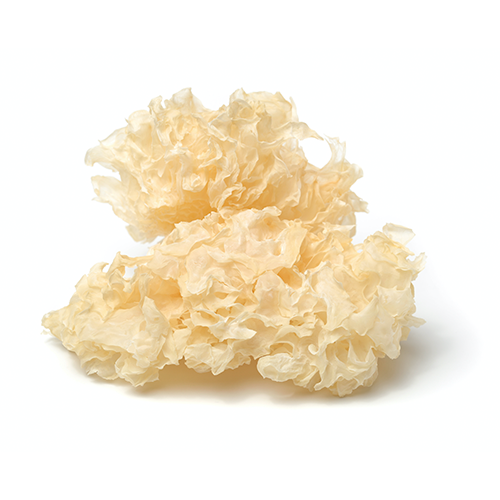 Tremella Mushroom Extract for Skin | Tremella Mushroom Extract ...